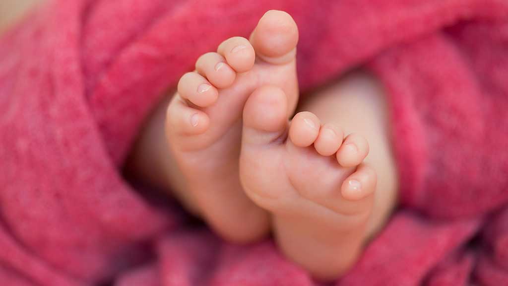 Thermoregulation In The Neonate Ausmed Thermoregulation In The Neonate Ausmed
